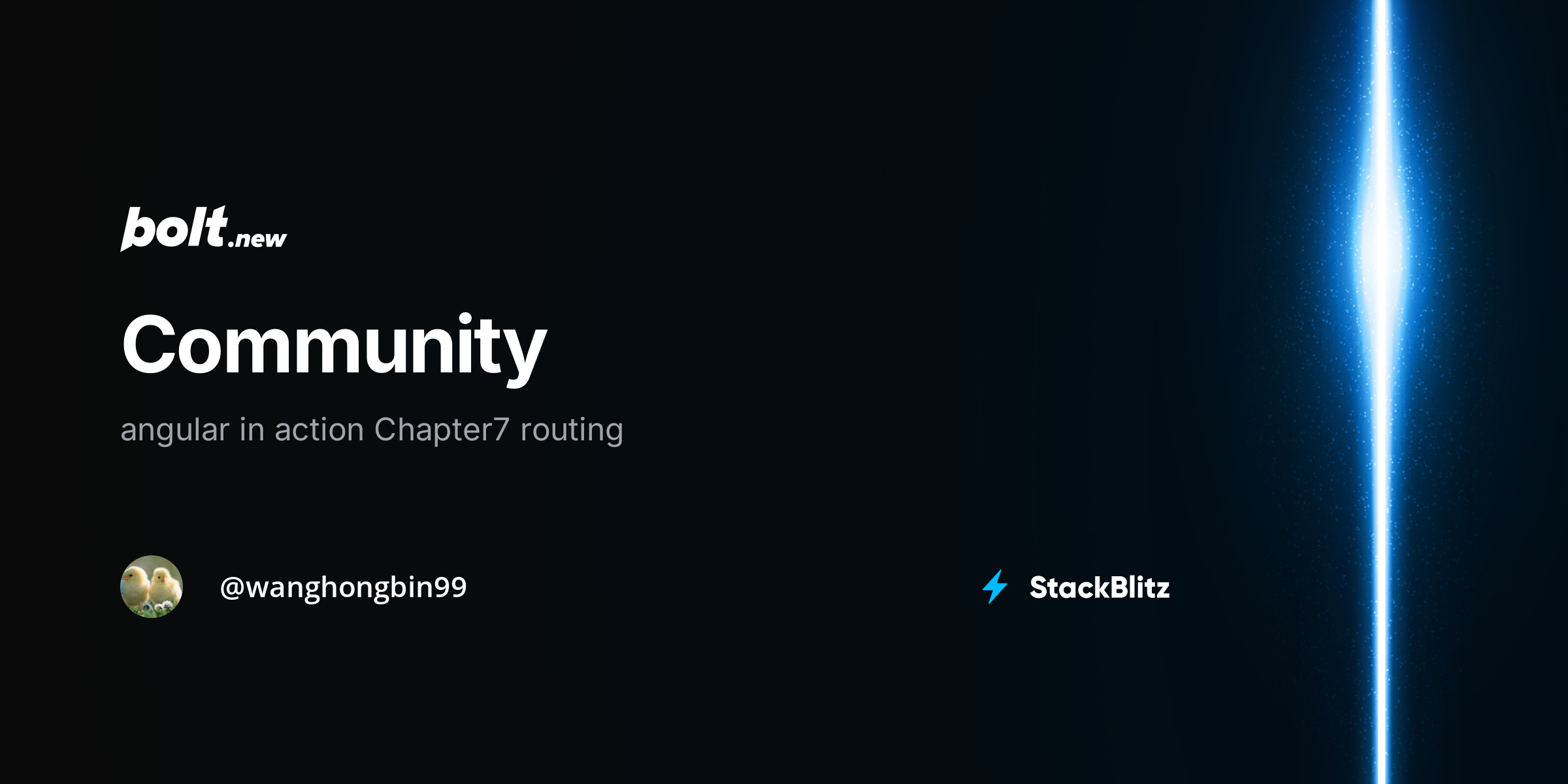 Community - Bolt.new