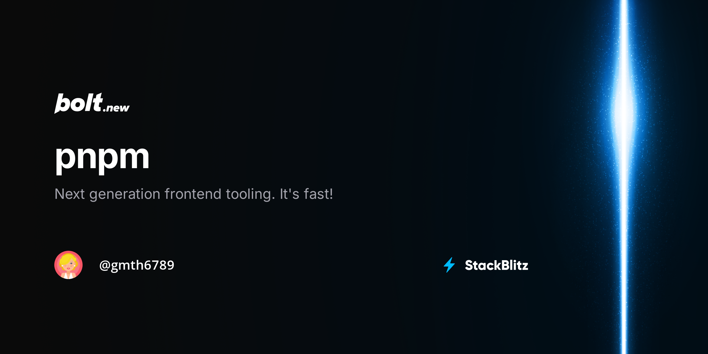 pnpm - Bolt.new