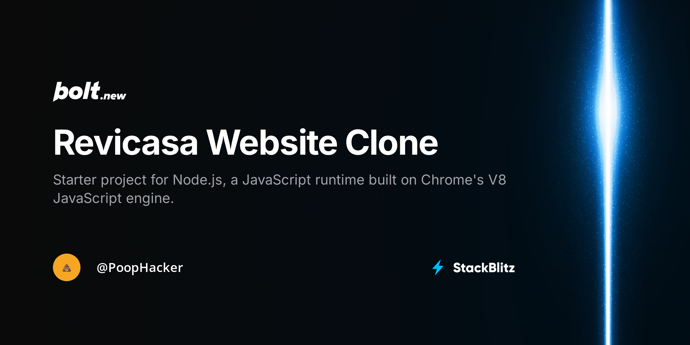 Revicasa Website Clone - Bolt.new