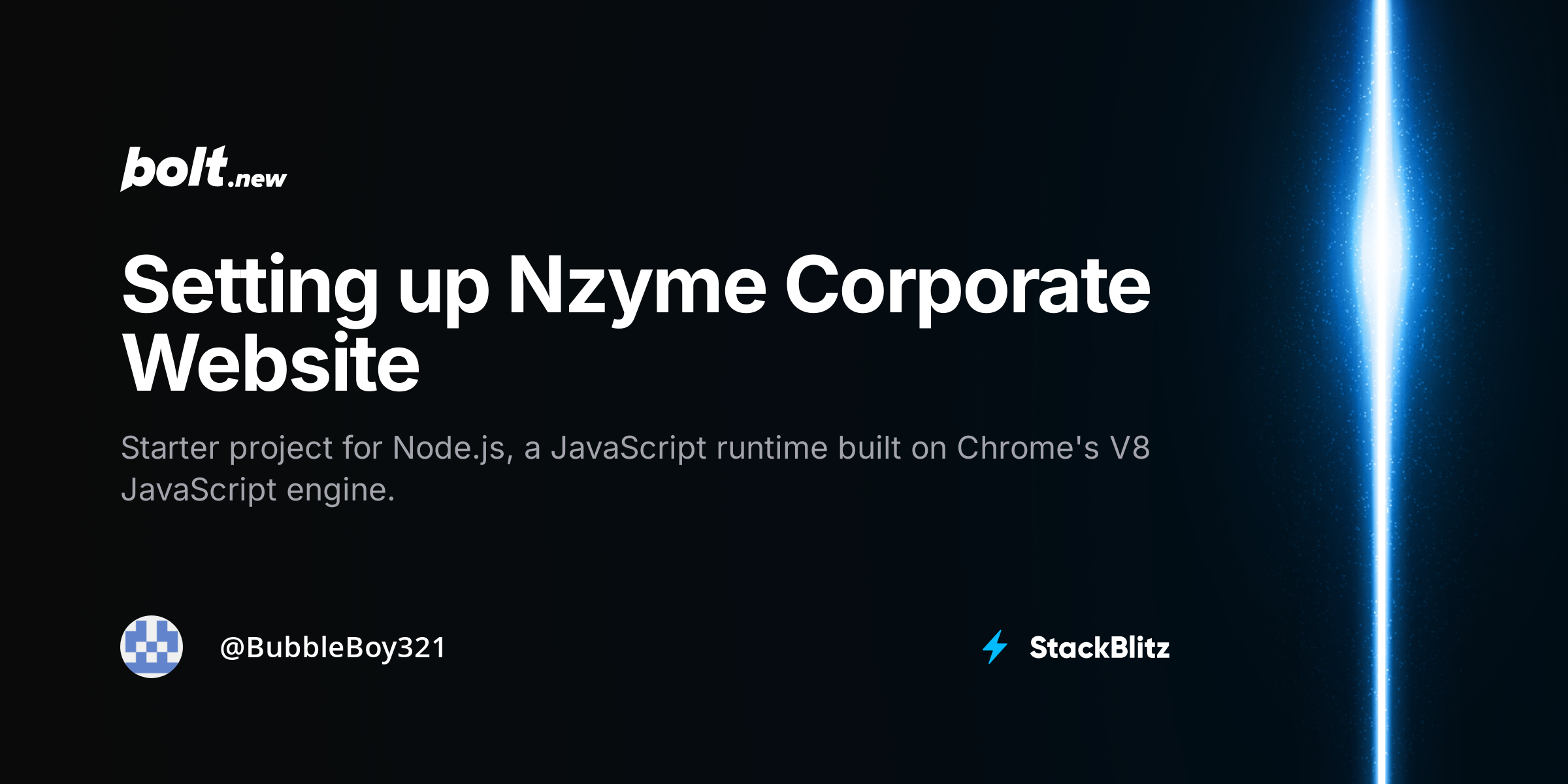 Setting up Nzyme Corporate Website - Bolt.new