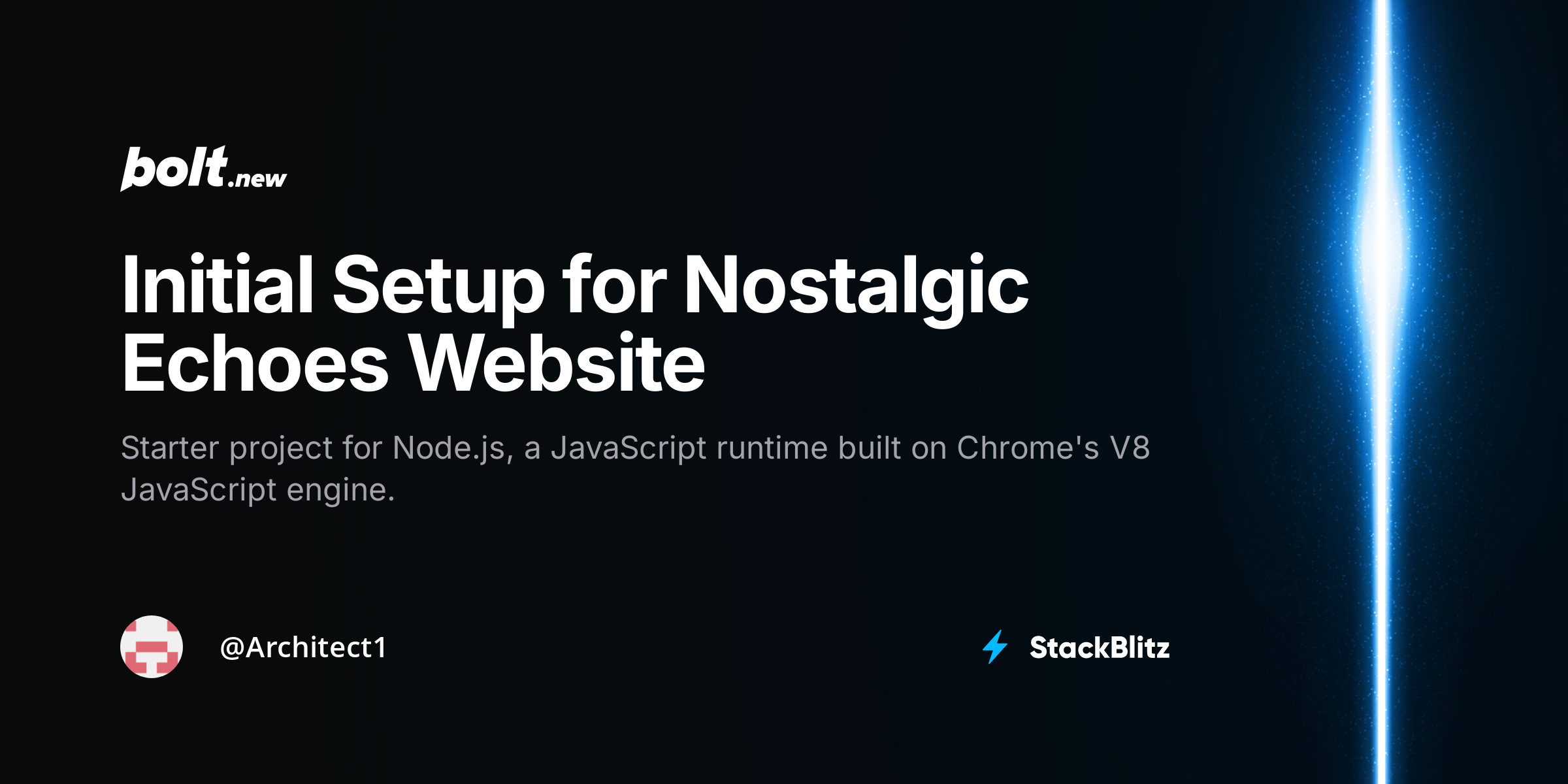 Initial Setup for Nostalgic Echoes Website - Bolt.new