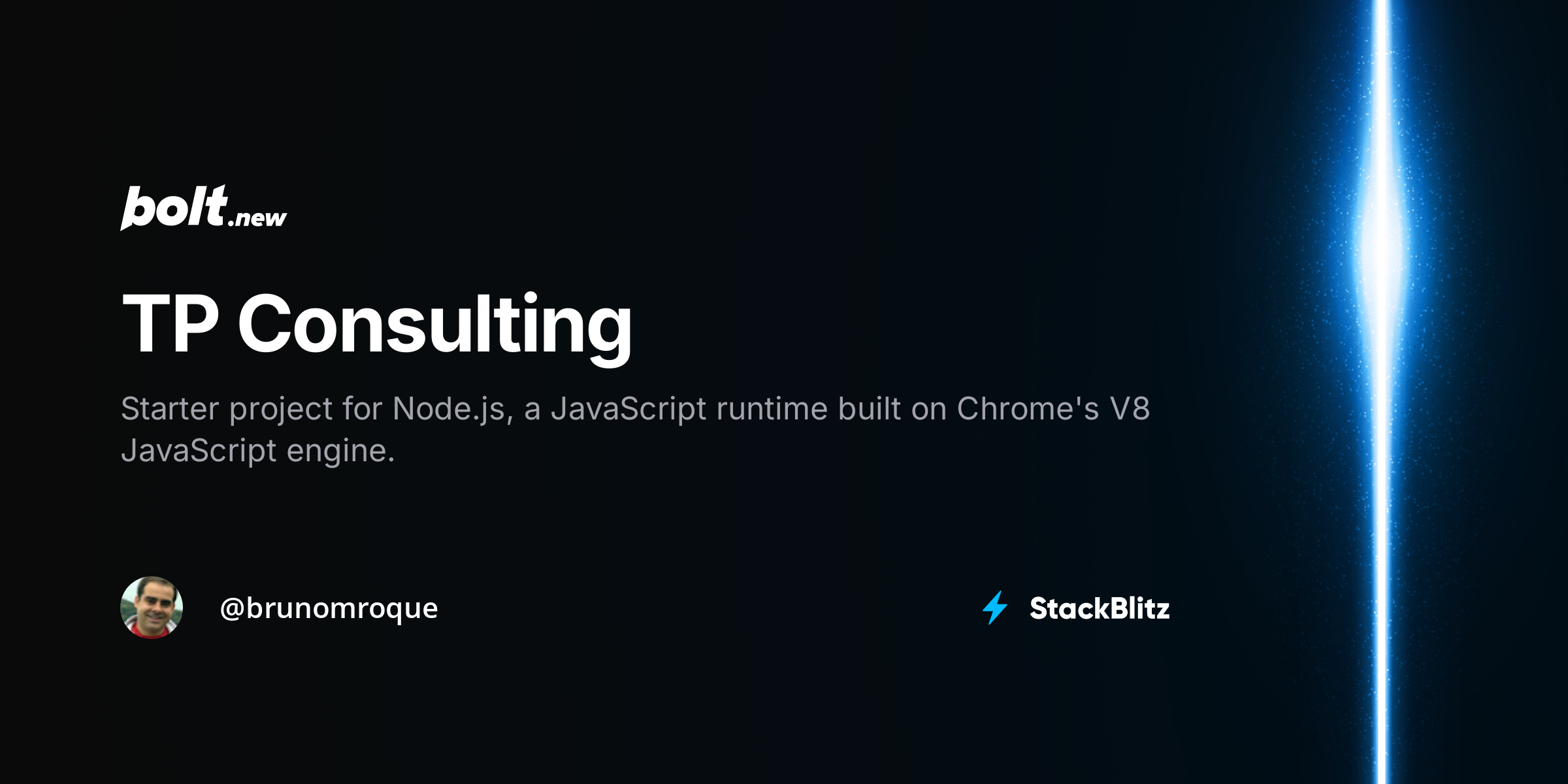 TP Consulting - Bolt.new