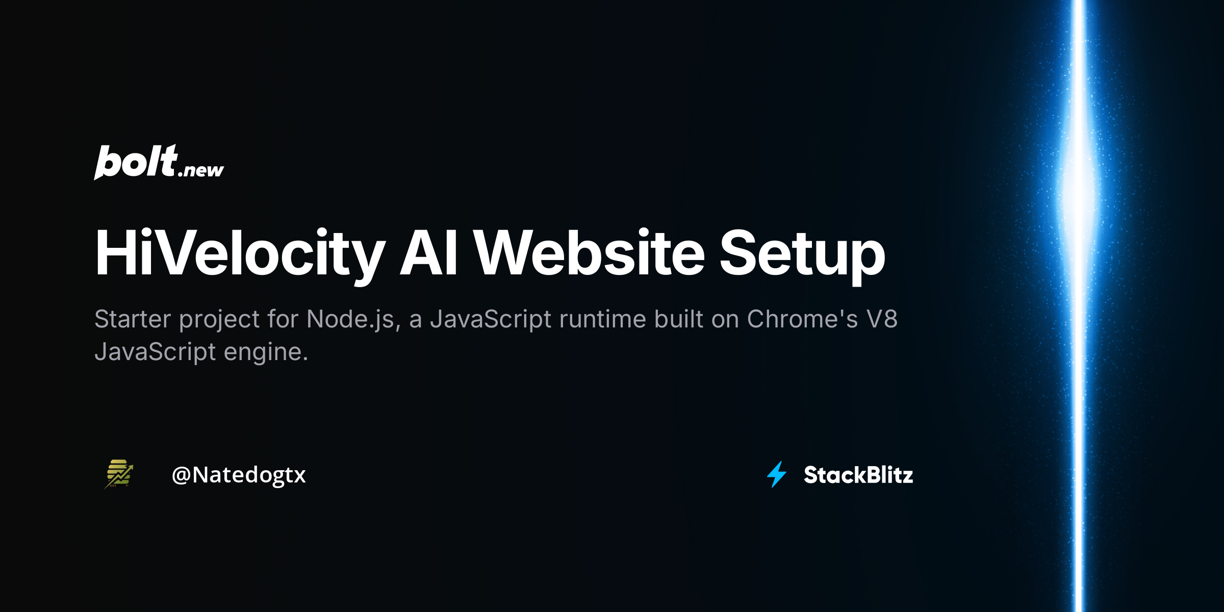 HiVelocity AI Website Setup - Bolt.new