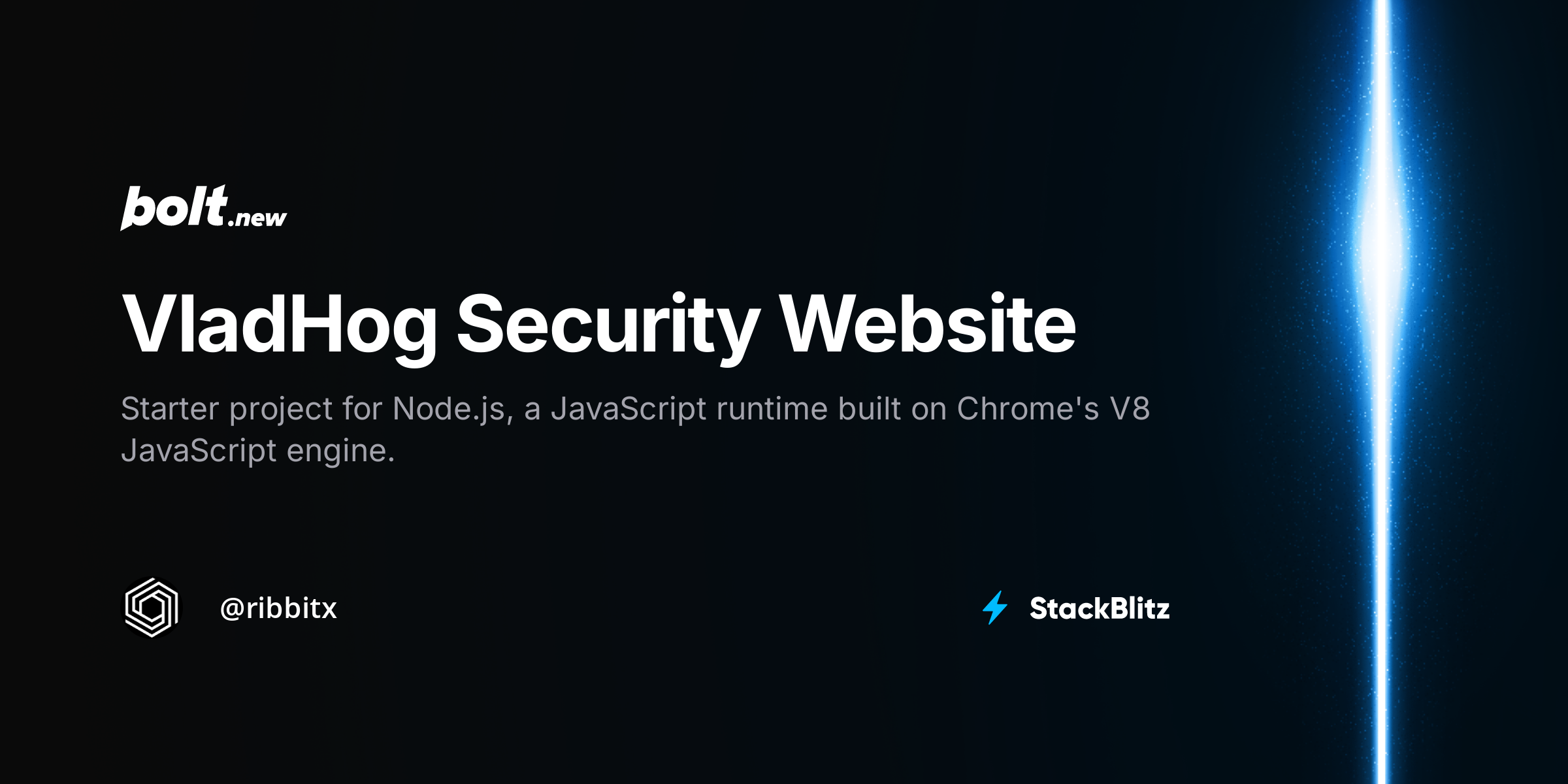 VladHog Security Website - Bolt.new