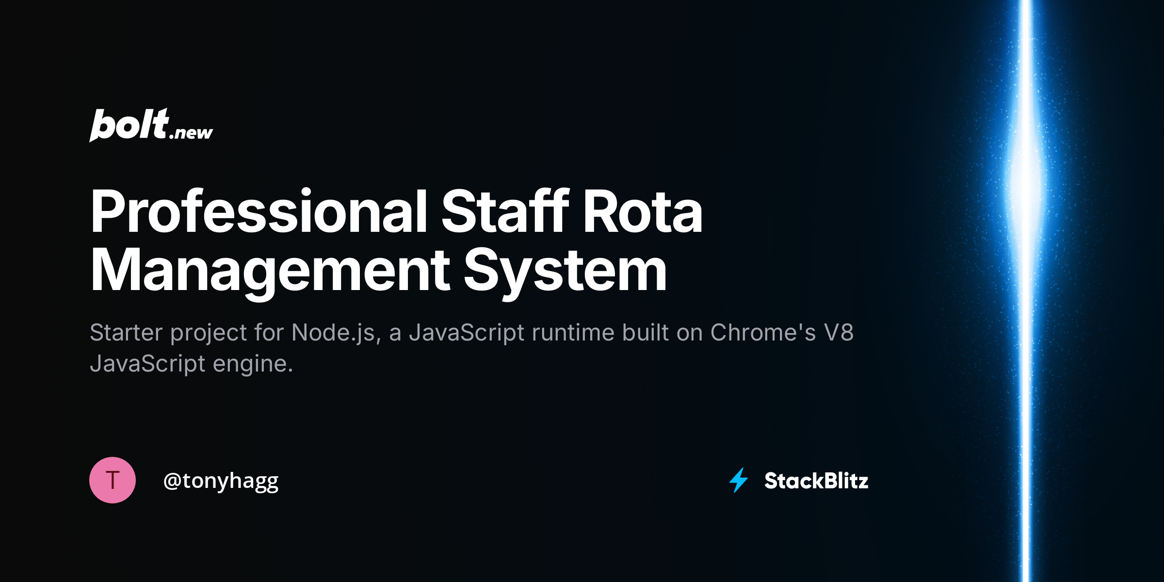 Professional Staff Rota Management System - Bolt.new