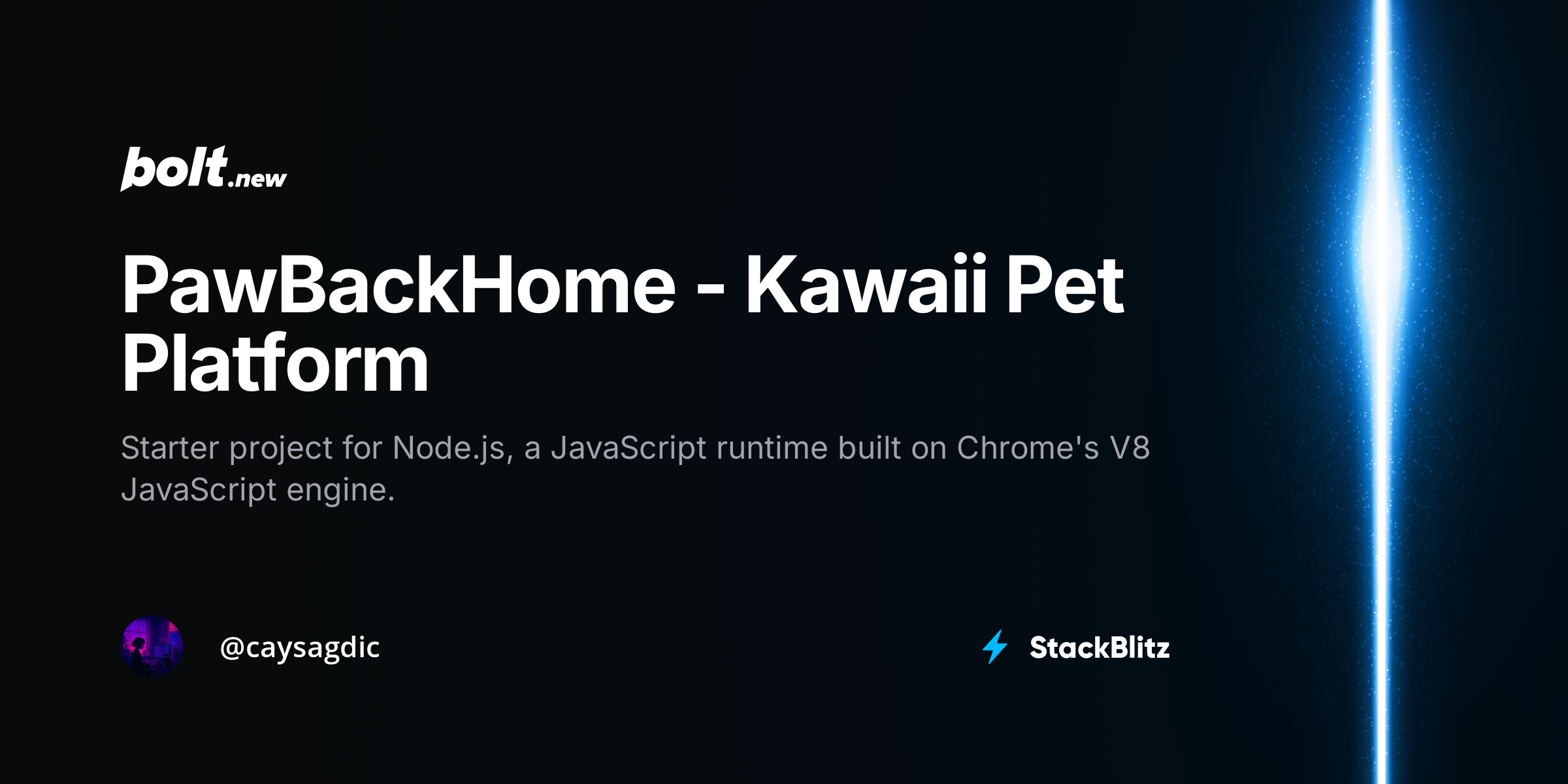 PawBackHome - Kawaii Pet Platform