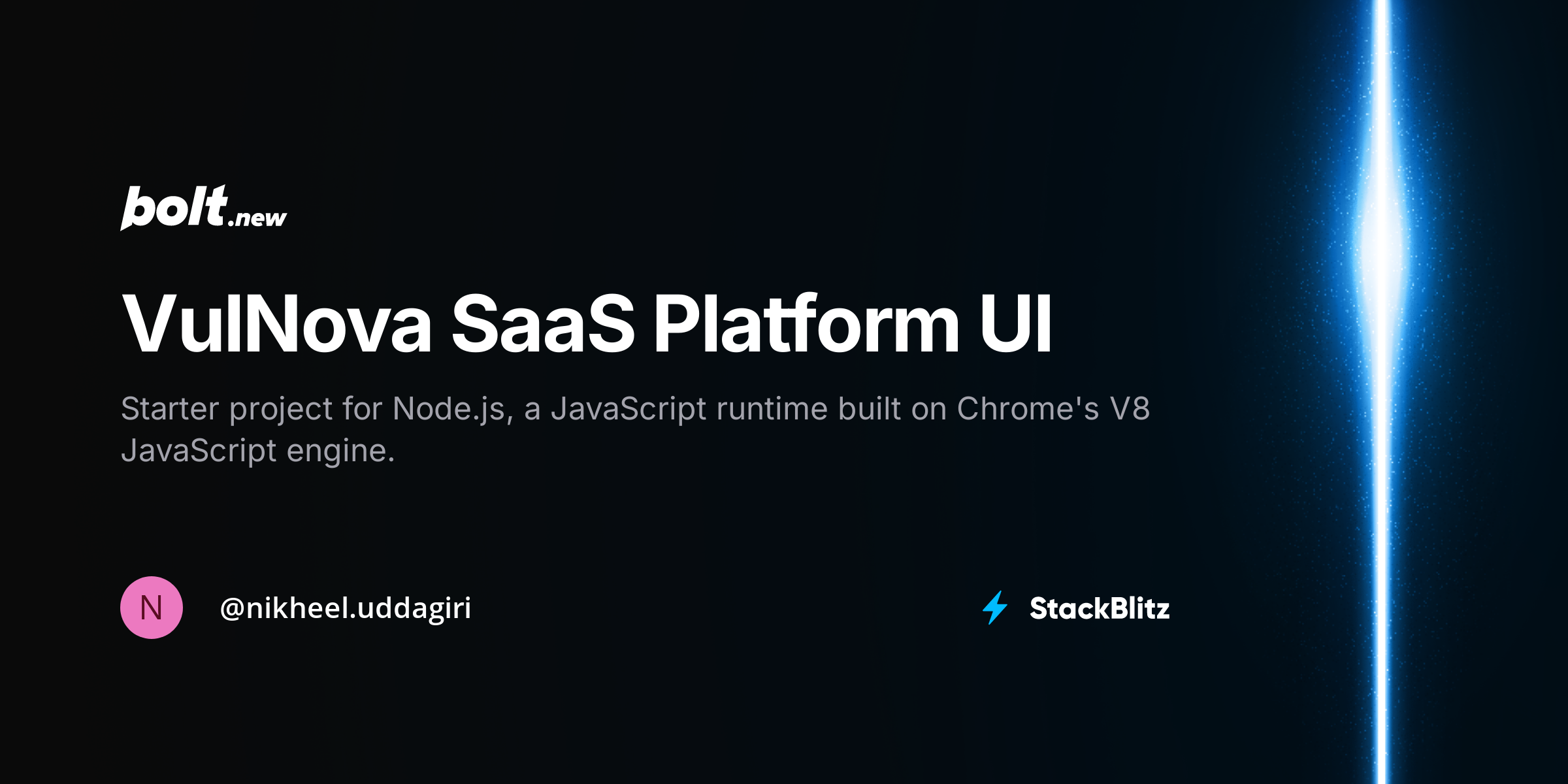 VulNova SaaS Platform UI - Bolt.new