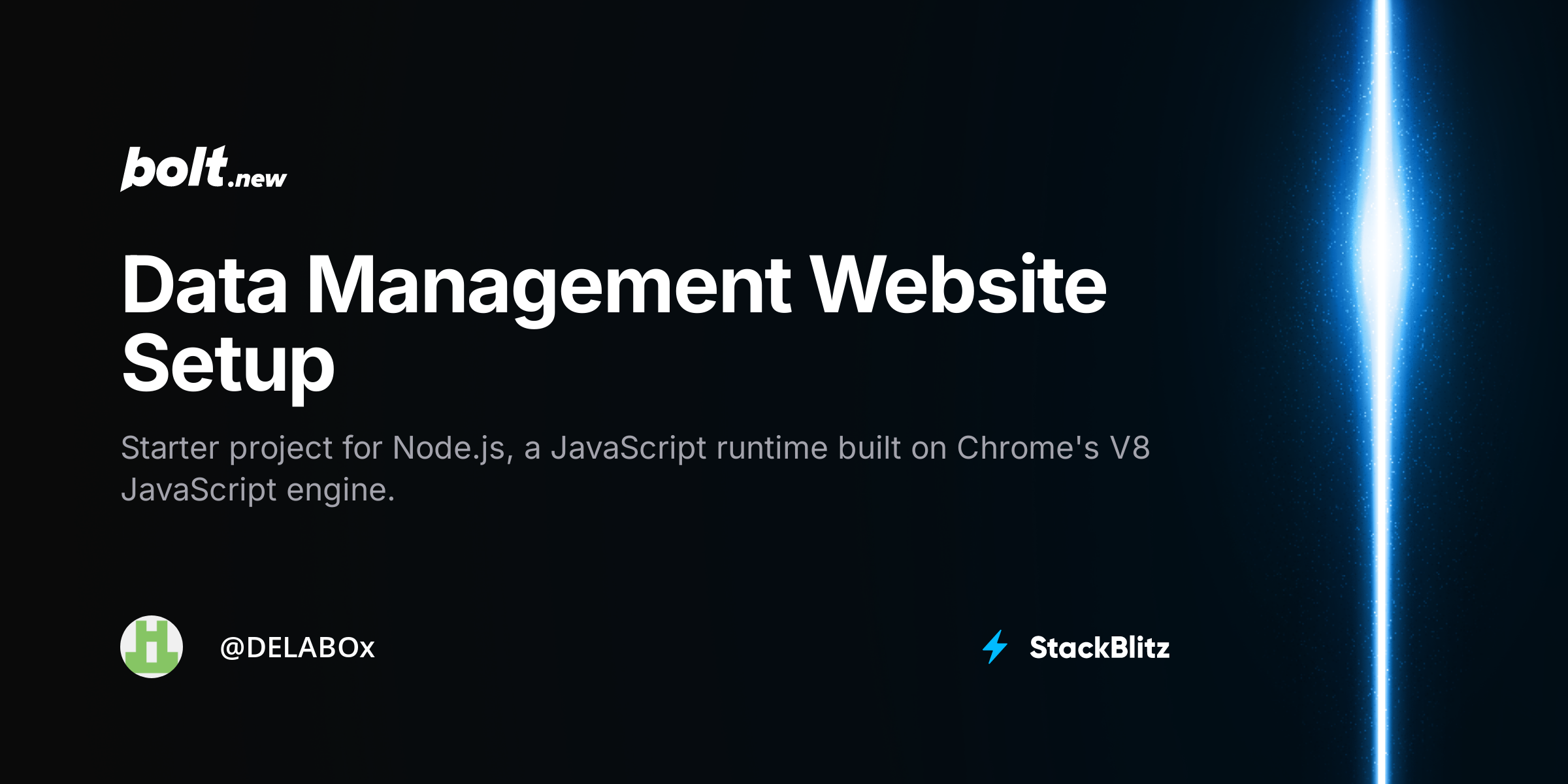 Data Management Website Setup - Bolt.new