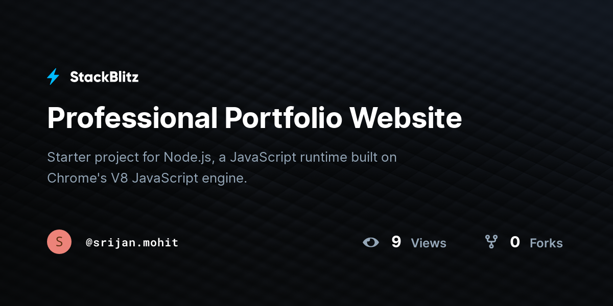 Professional Portfolio Website - StackBlitz