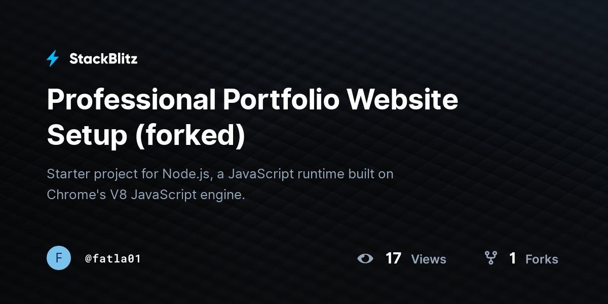 Professional Portfolio Website Setup (forked) - StackBlitz