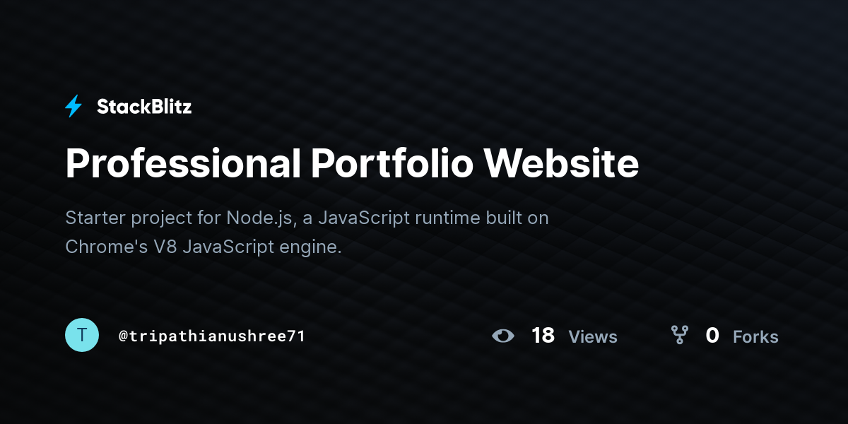 Professional Portfolio Website - StackBlitz