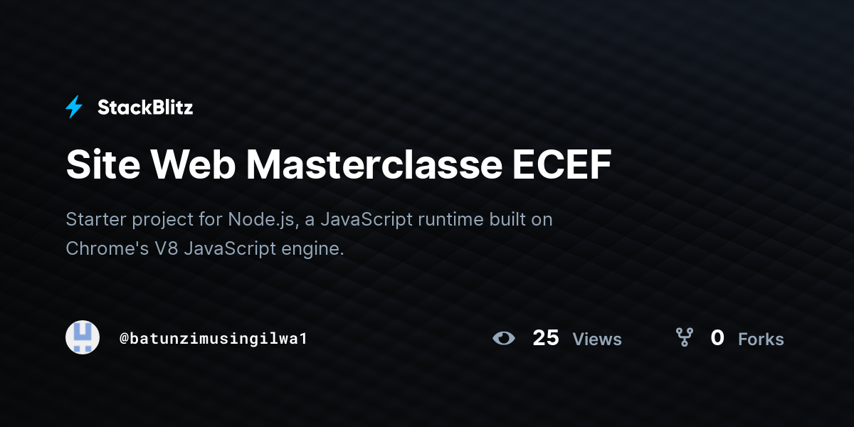 Site Web Masterclasse ECEF - StackBlitz